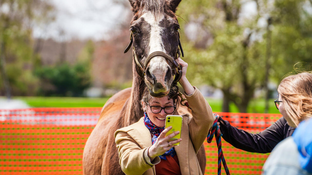 OT students destress with therapy animals | Quinnipiac Today