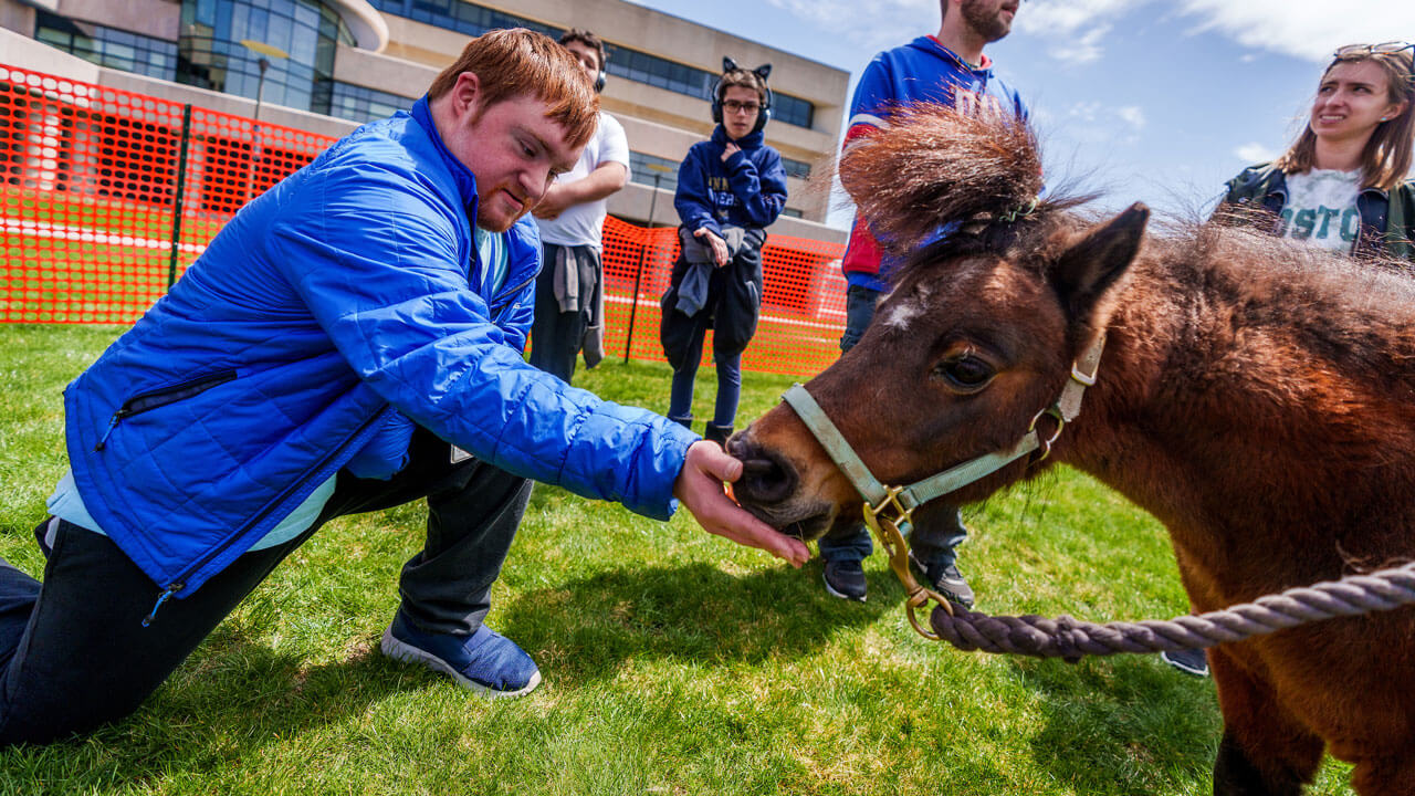 OT students destress with therapy animals | Quinnipiac Today