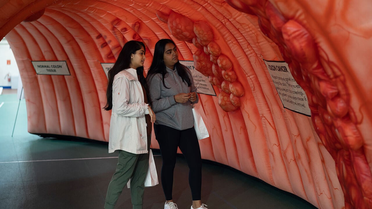 University hosts annual student health fair | Quinnipiac Today