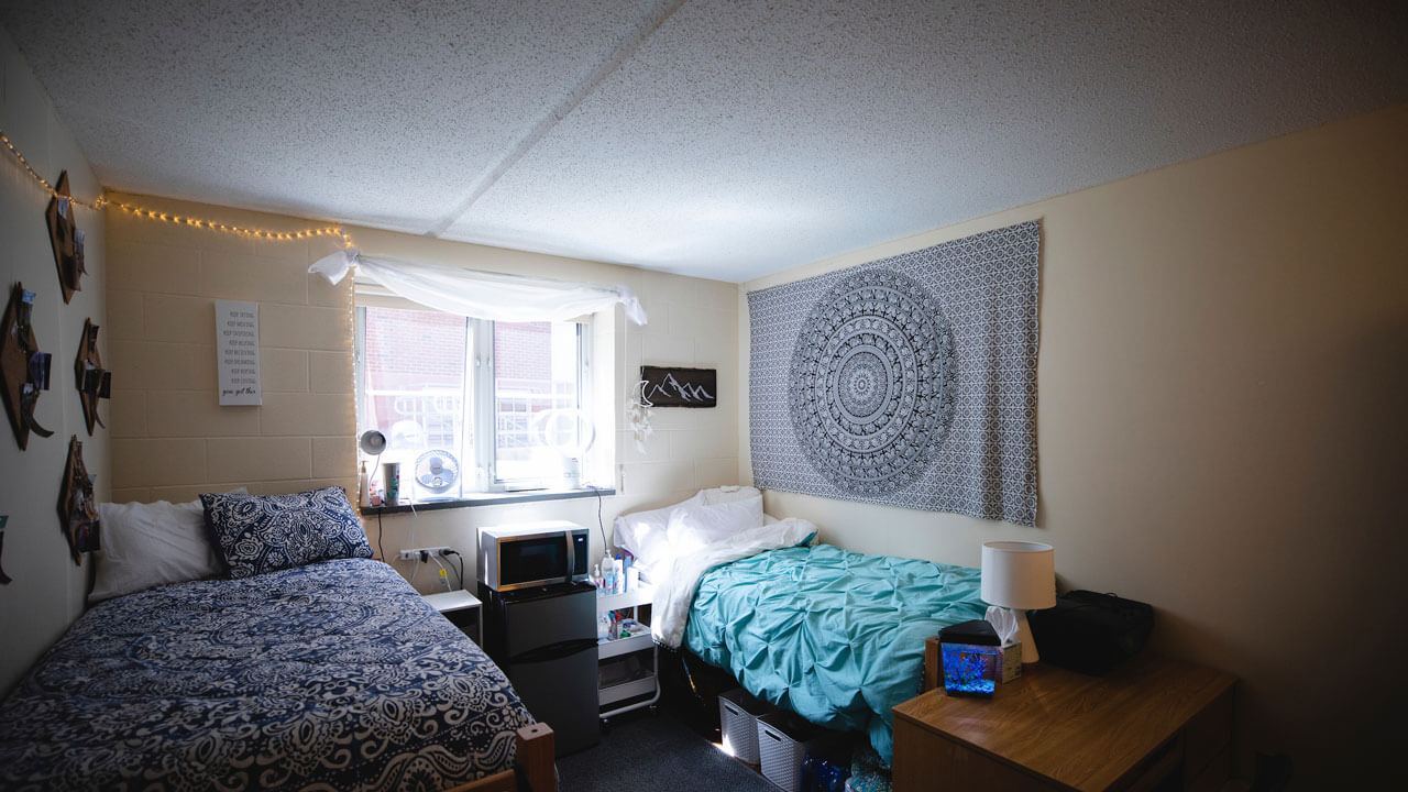 Mountainview | Quinnipiac University